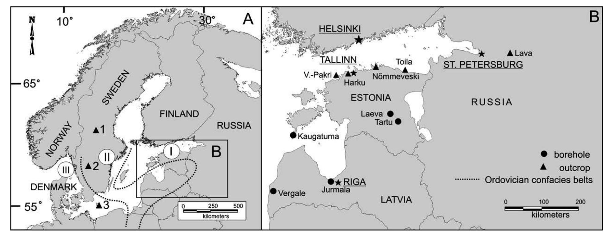 Schematic map of the study area. roman numerals mark