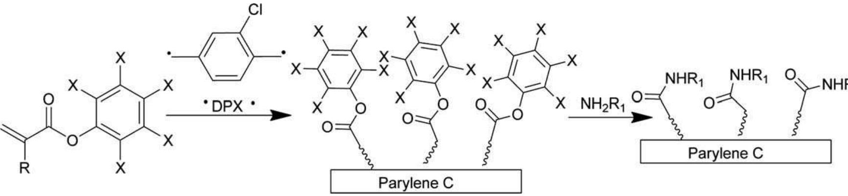 Schematic representation of the covalent modification of