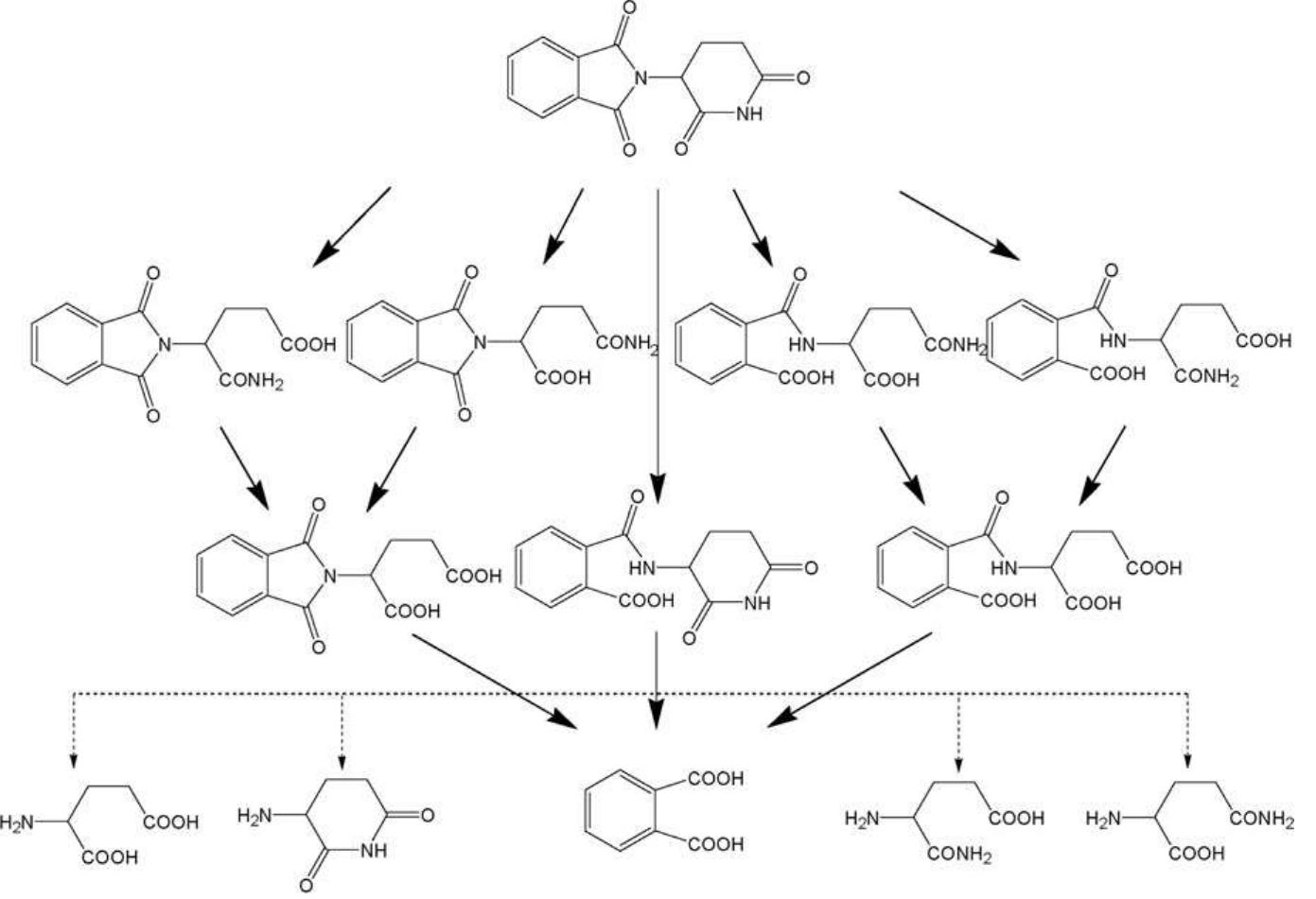 Scheme of the hydrolysis of thalidomide.