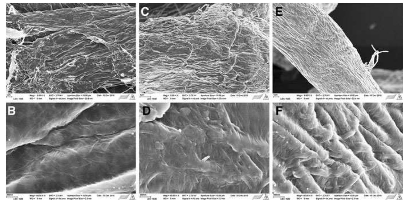 Sem images of reference pulp a, b and pulp pretreated in