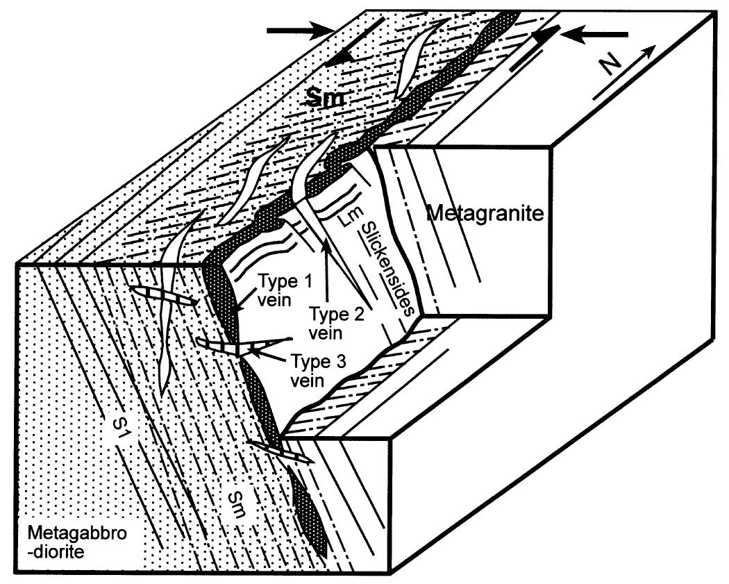 Block-diagram showing the relationships between the major