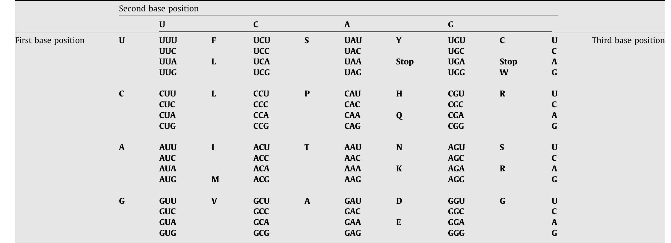 The one letter symbol of amino acids. the standard genetic