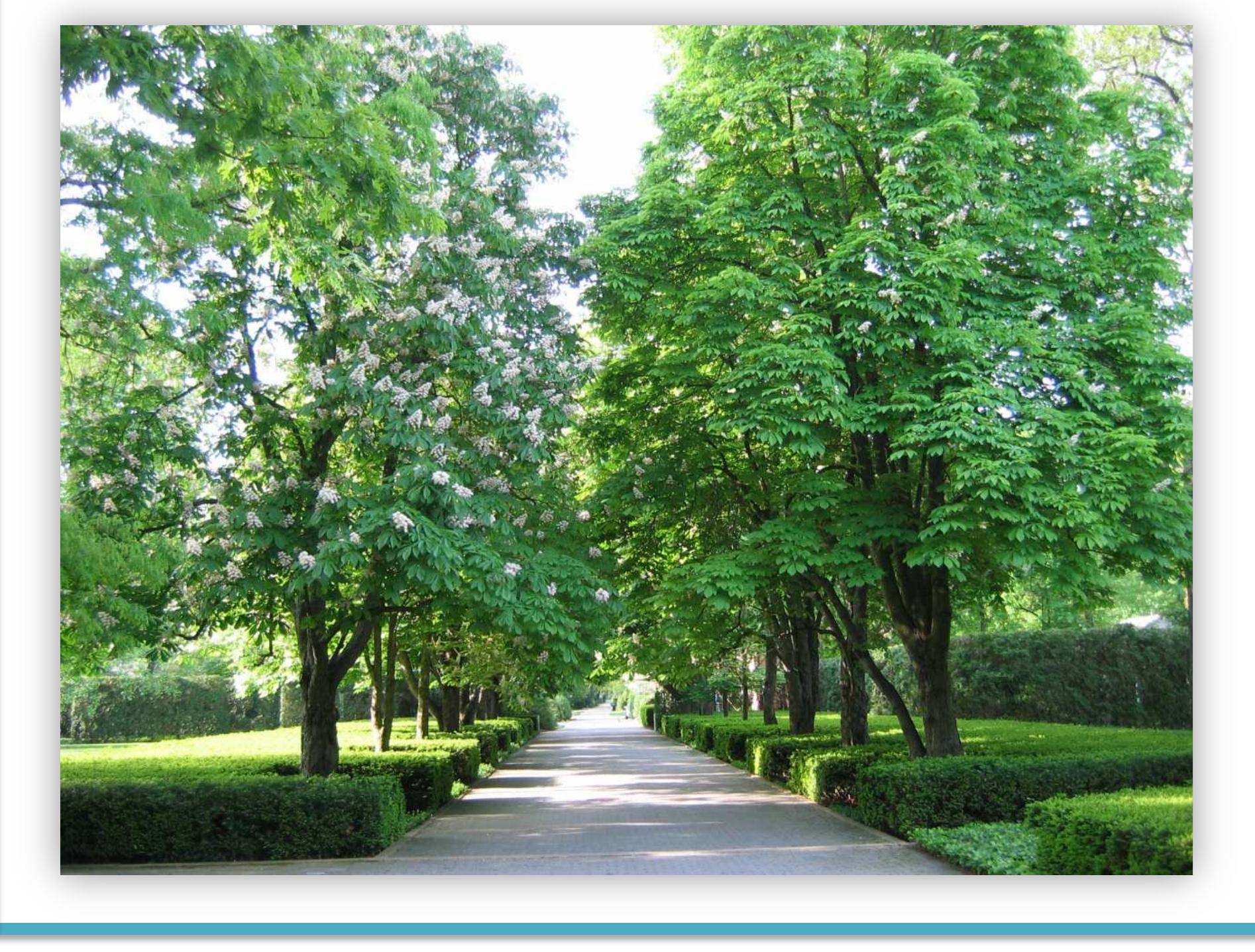 Figure 43 - Theory of Landscape Architecture- Residential