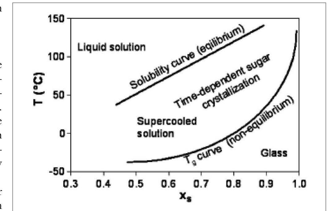 —phase diagram indicating the equilibrium solubility curve,