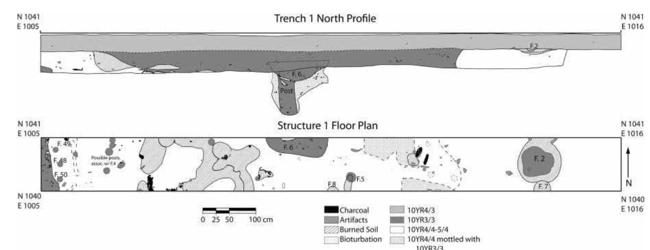 Trench 1/structure 1 profile and plan maps. eighteen