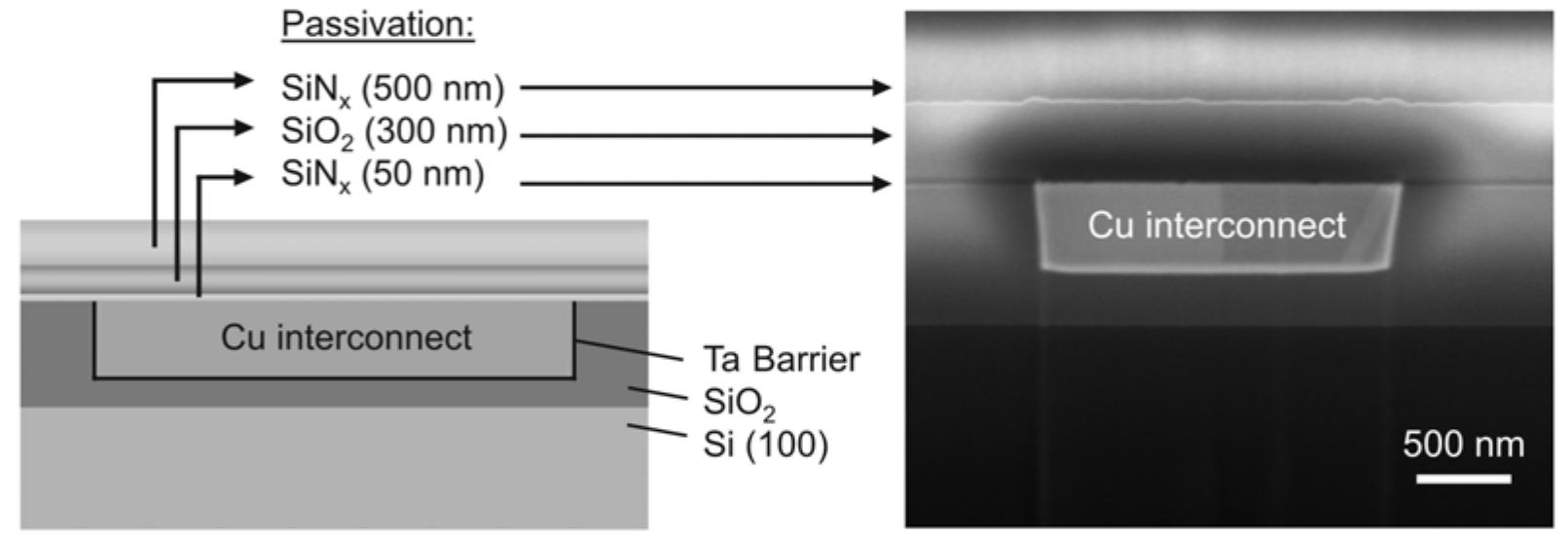 Schematic build-up and real sem cross section image of a cu