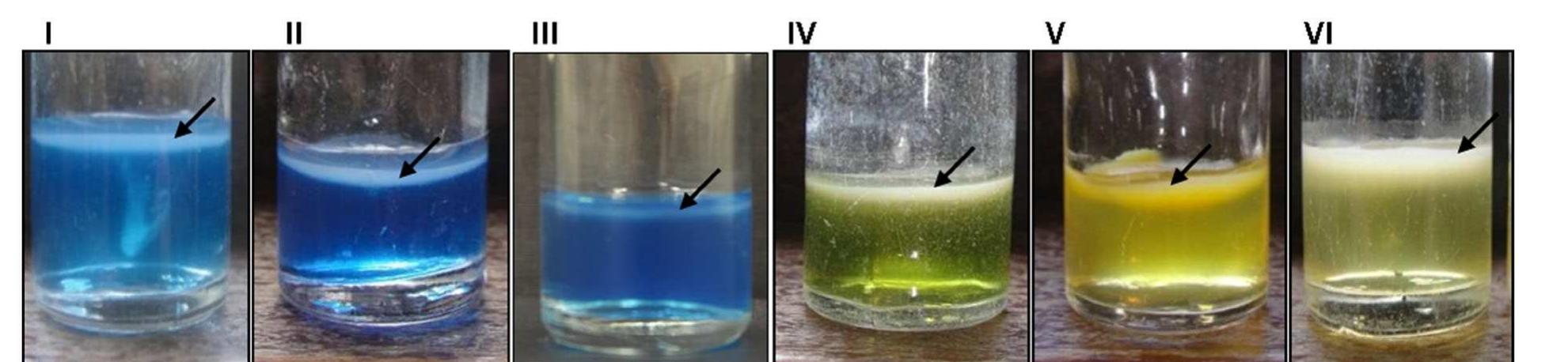 (PDF) The art of isolating nitrogen-fixing bacteria from non-leguminous ...