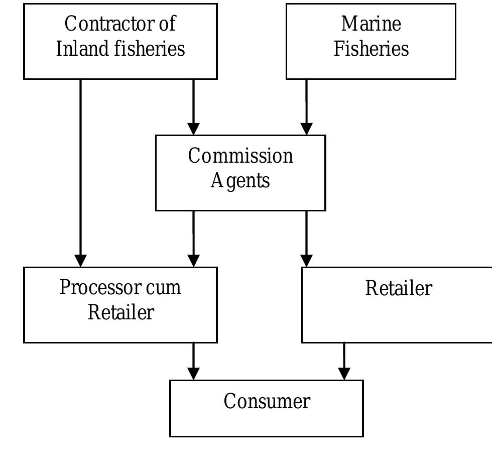 11: fish marketing channel in pakistan
