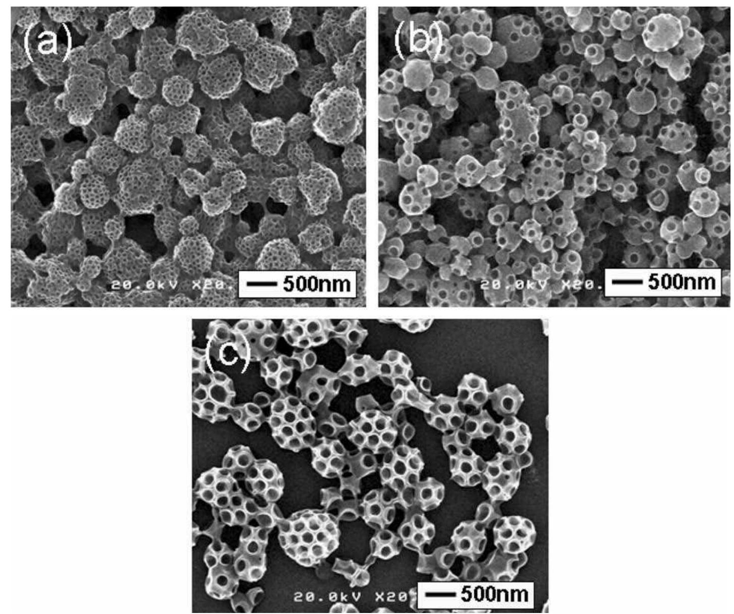 Sem images showing the size distribution of ha porous