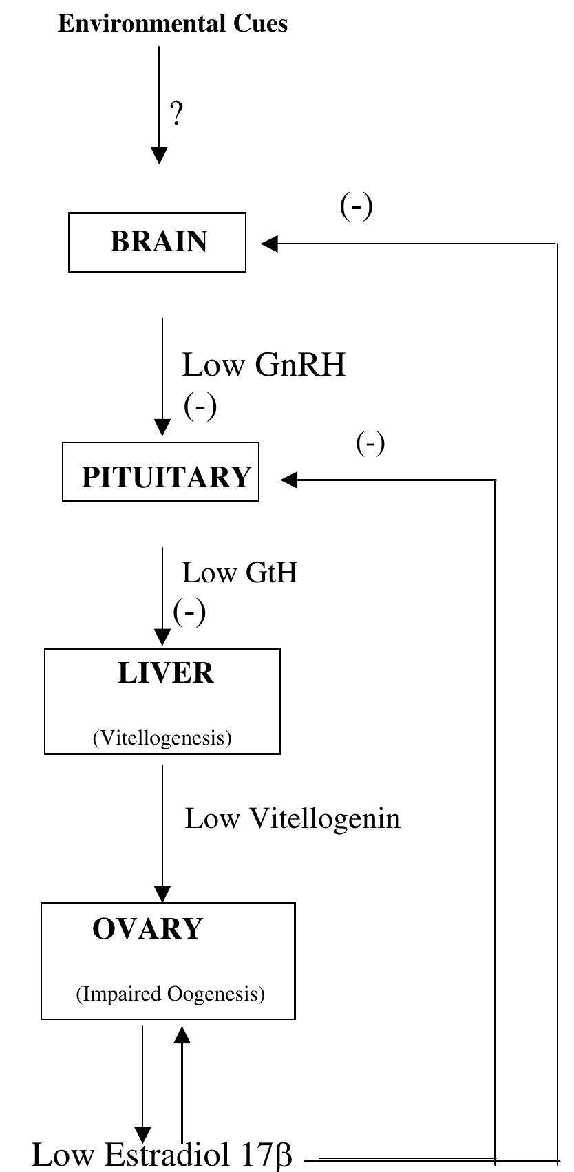 Figure 4 - from The biology of triploid fish