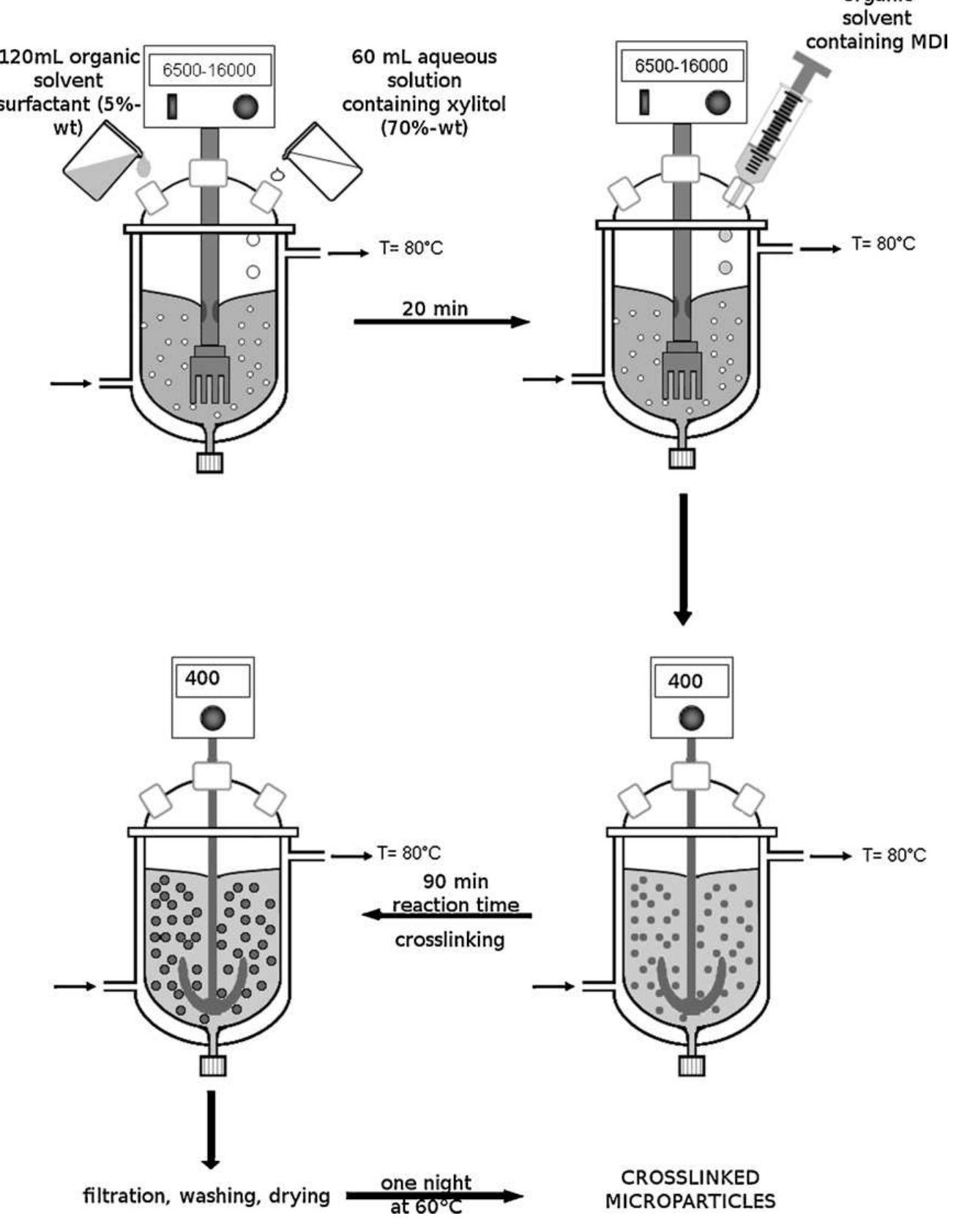 Schematic representation of the various stages of the