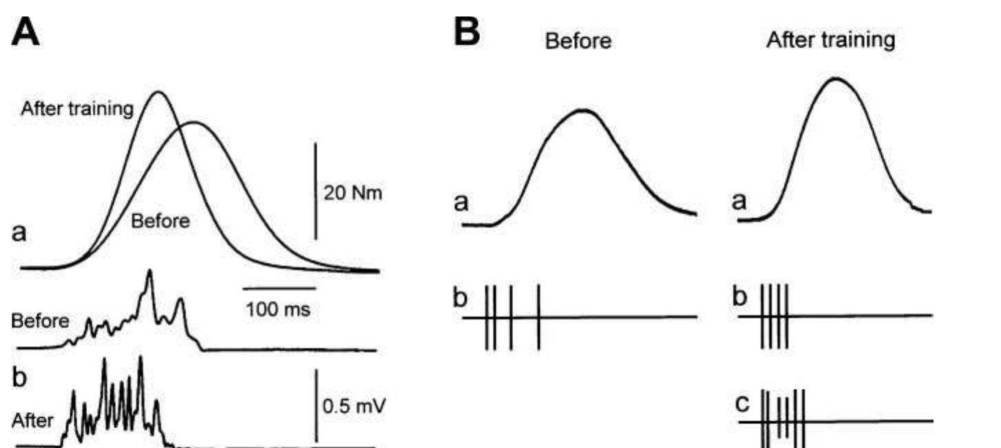 A: comparison of the torque (a) and rectified