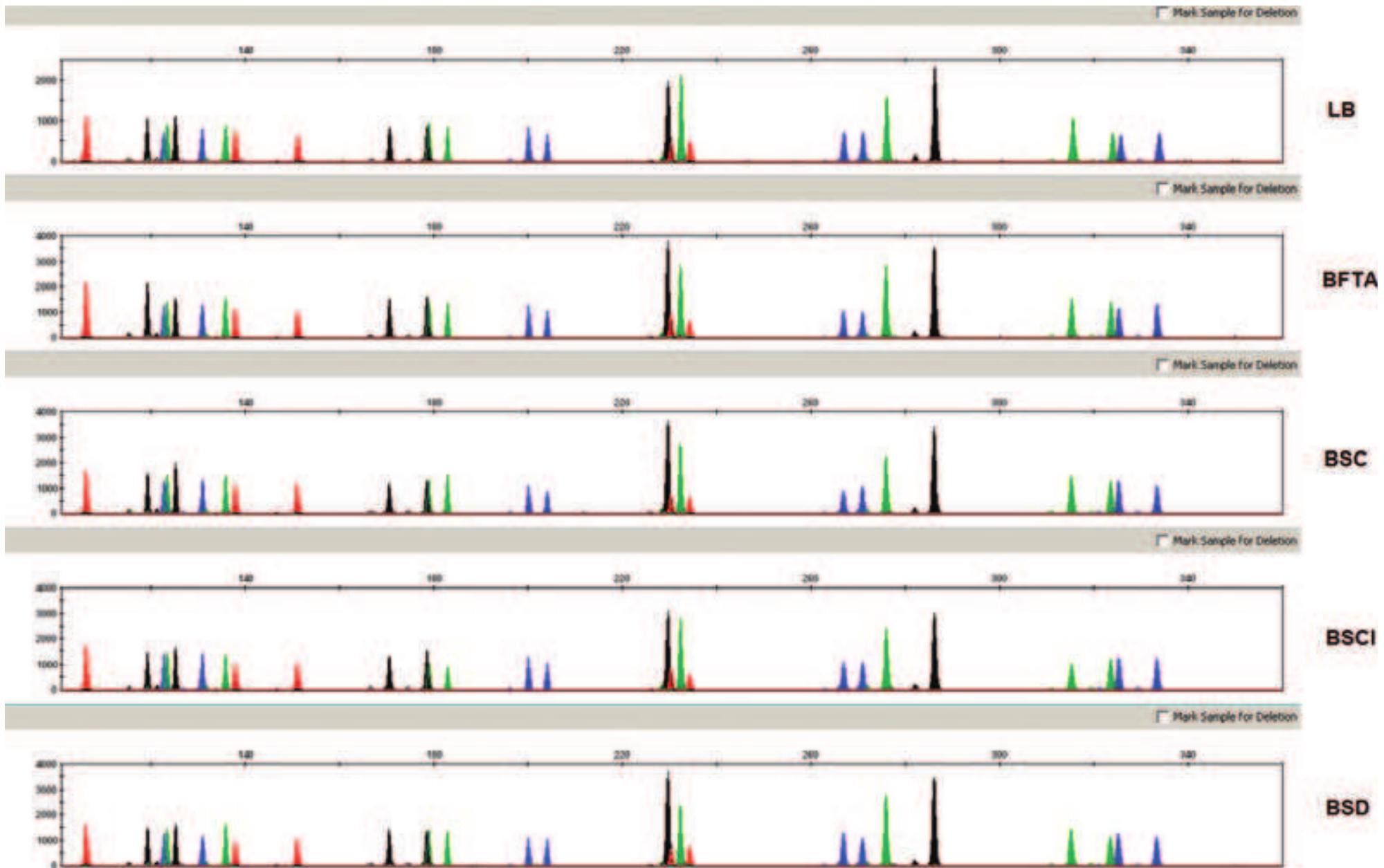 —identifiler® profiles for different sample types. lb,