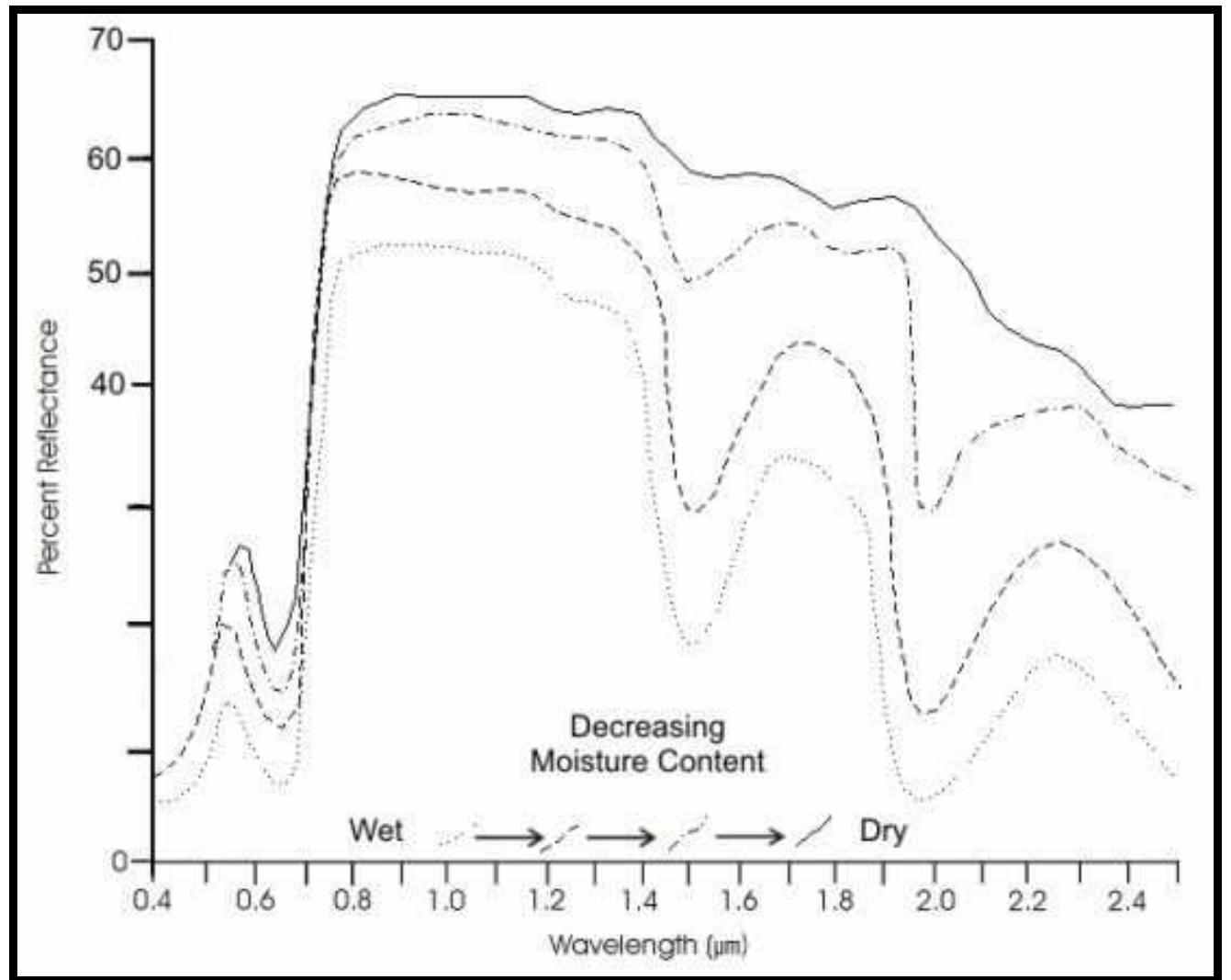 (PDF) Spectral Signatures in Remote Sensing