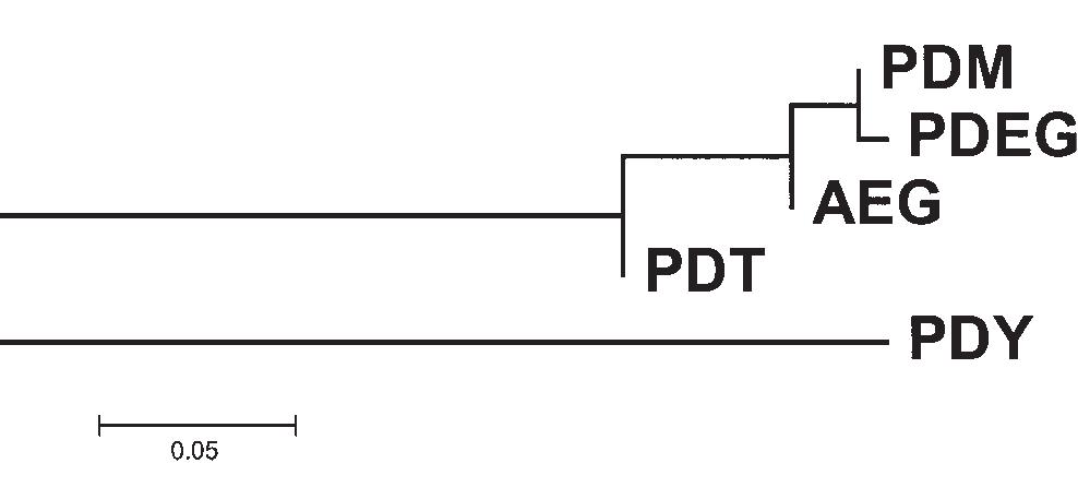 Unrooted tree of mongolian, yakut, and turkish pop- ulations
