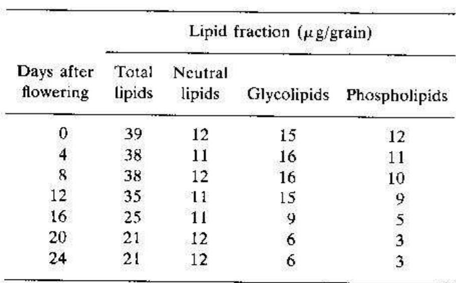 Changes in lipid fractions of 1r42 bull during grain