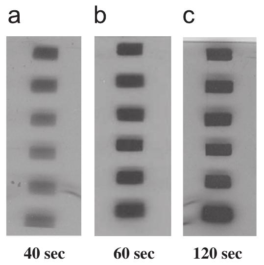 Radiography image of the exposed radiographic film.