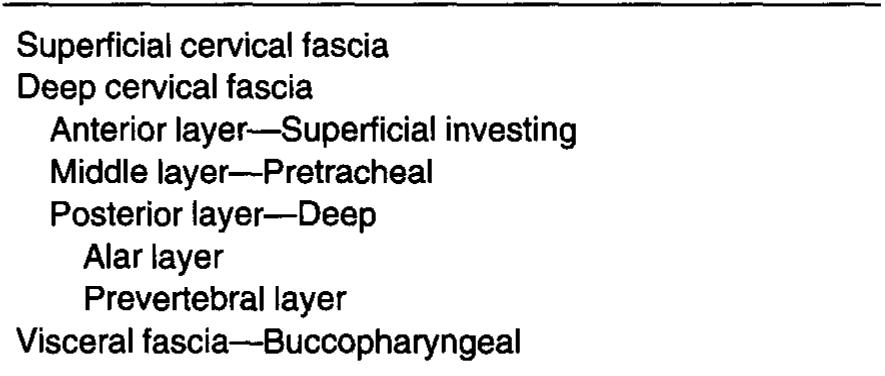 Synonyms of cervical fascia attach to the vertebral spinous