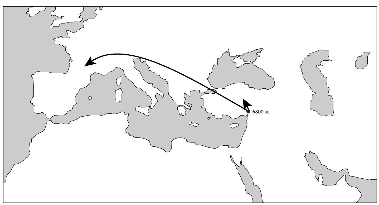 The split of the north caucasian—basque branch (scenario 1)