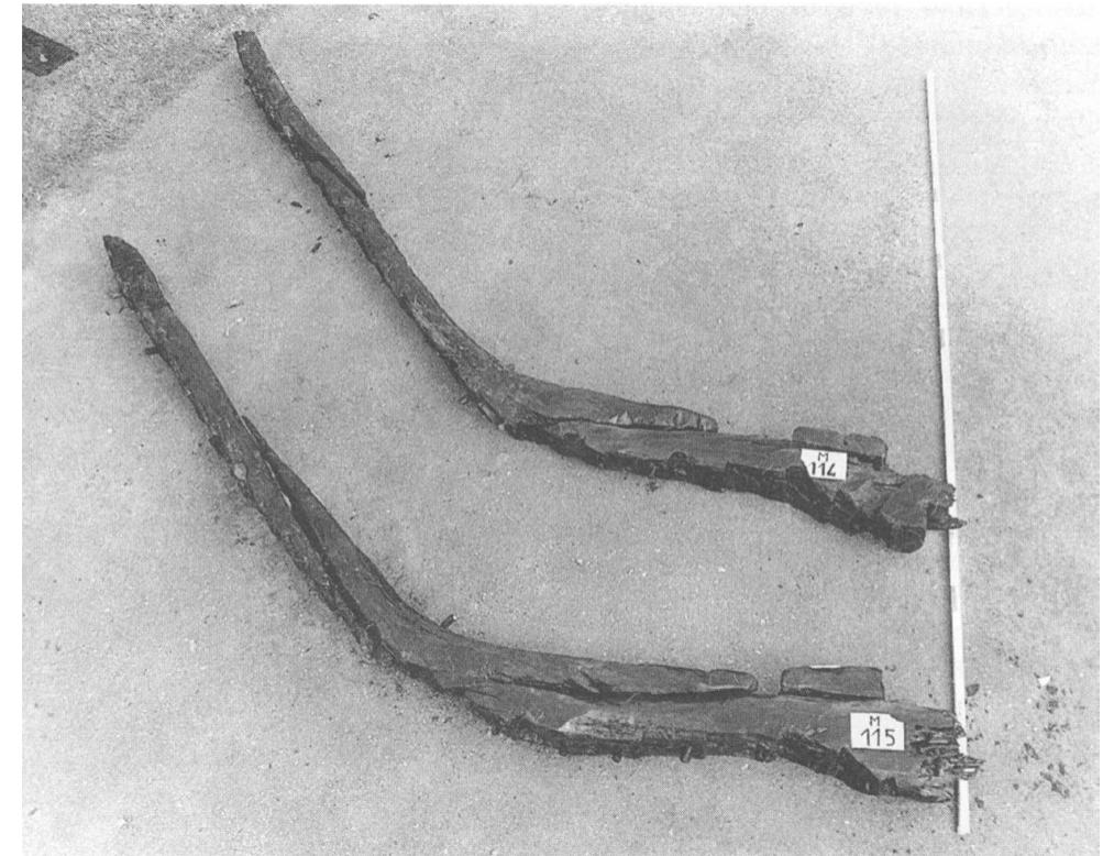Frame stations m114 and m115. note the first side timber