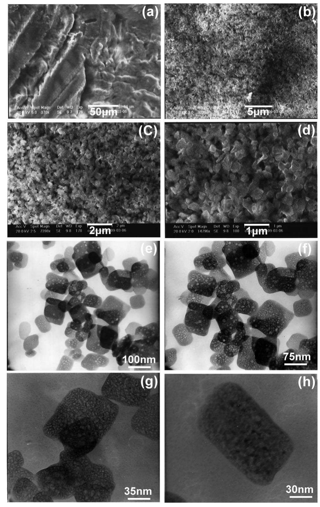 Sem image (a—d) and tem micrographs (e—h) of rectangle- like