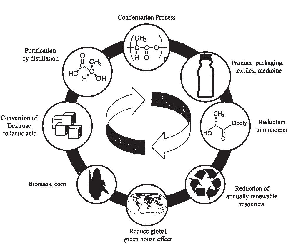 Life cycle for polylactide polymers, adapted from