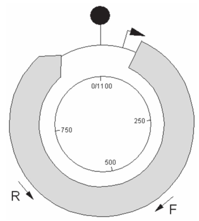 The diagram of the structure of the banana bunchy top virus