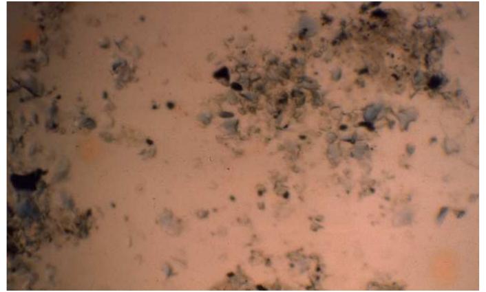 Discoloured smalt from the sky in ng 176. reproduced by