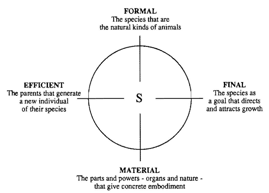 Ficure 31. diagram of ‘“aristotle’s four causes in zoology.”