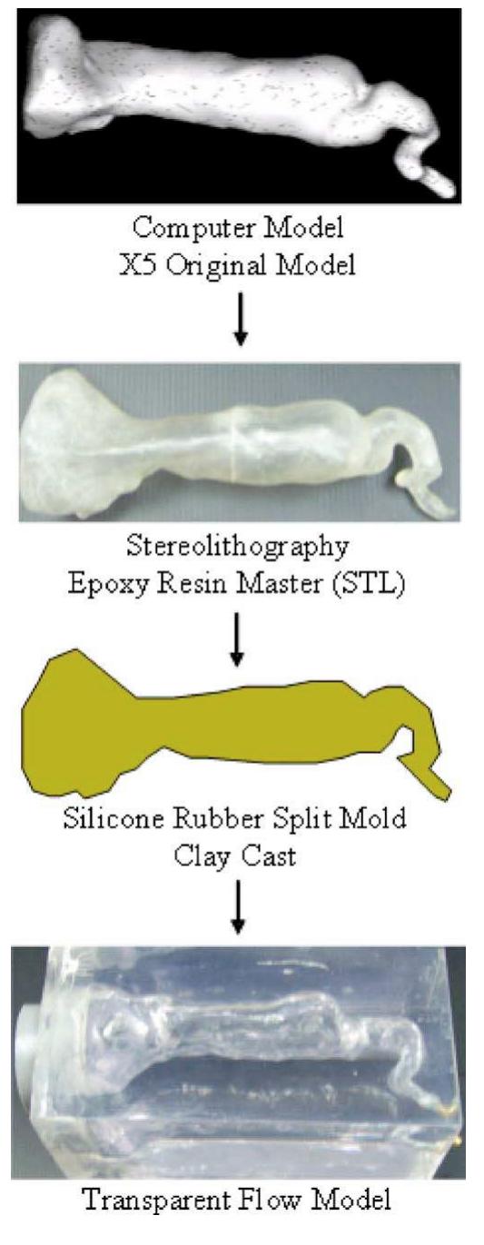 Schematic diagram of cystic duct models production using