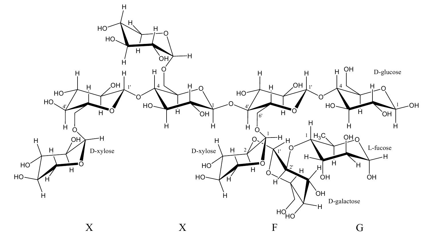 8. schematic representation of fuco-galacto-xyloglucan,