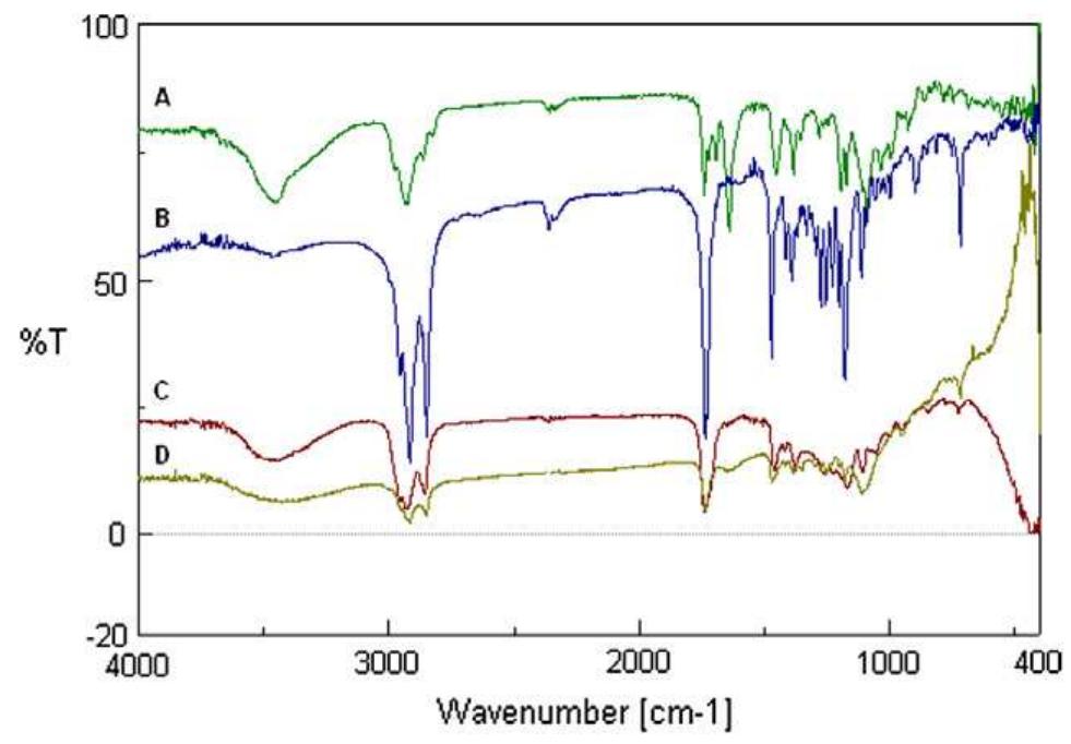 Ft-ir spectra of tacrolimus (a), glyceryl trimyristate (b),
