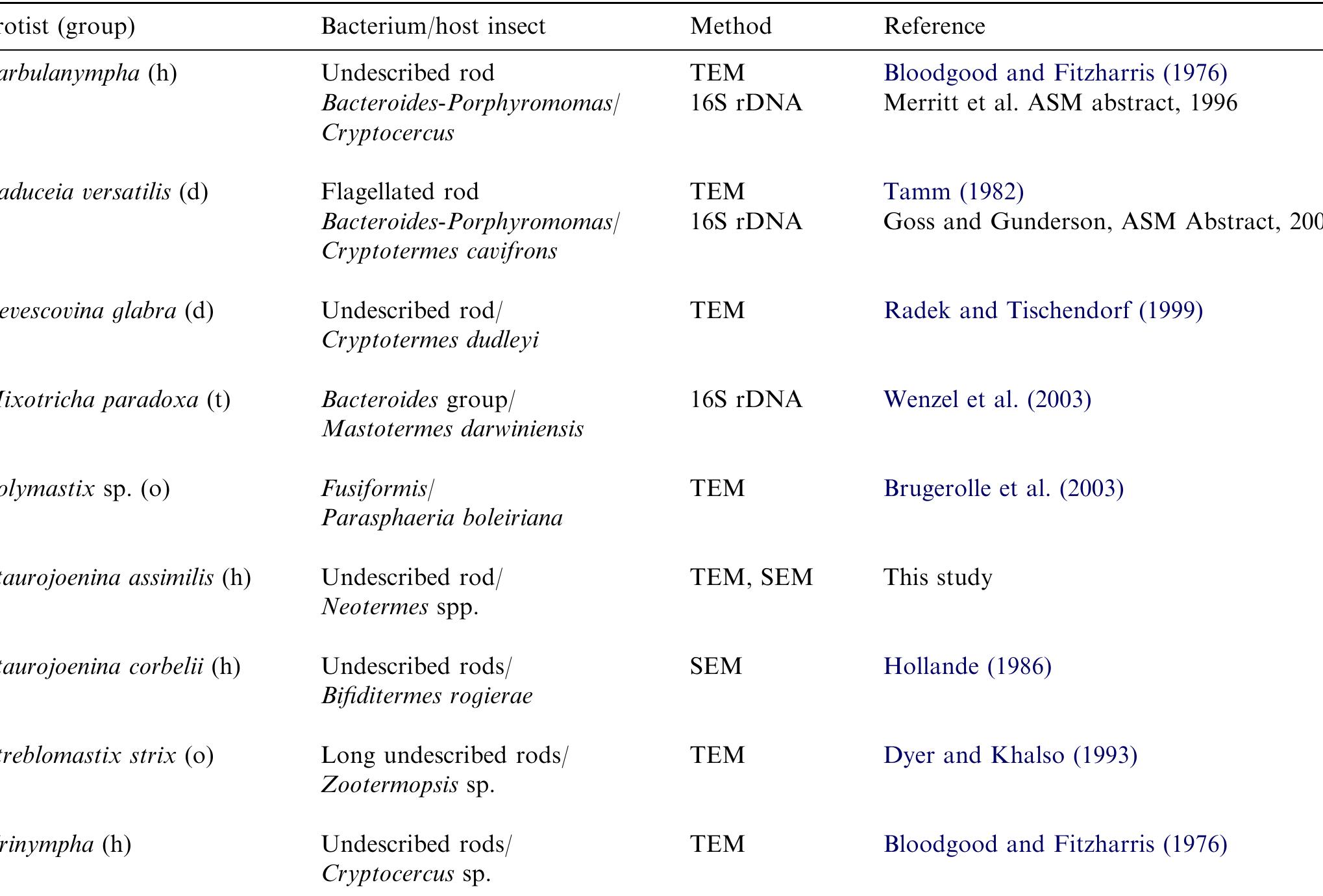 Rod-shaped ectosymbiotic gram-negative bacteria on the