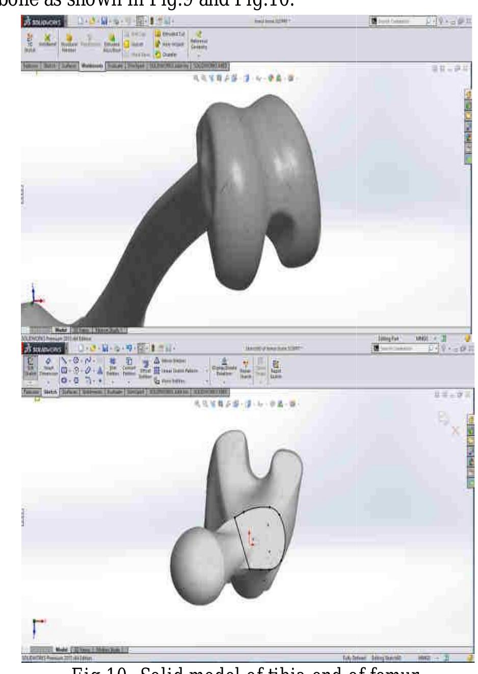 To create the part of femur head near the vertical diameter