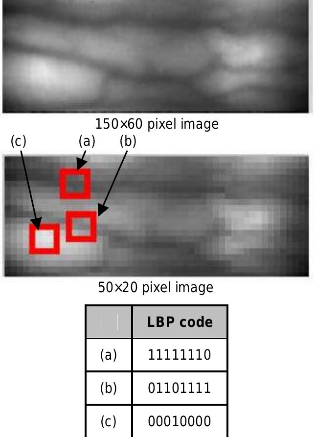 Examples of the local binary pattern (lbp) codes from thick