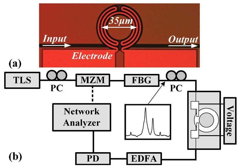 (a) optical microscope picture of the fabricated mrr with