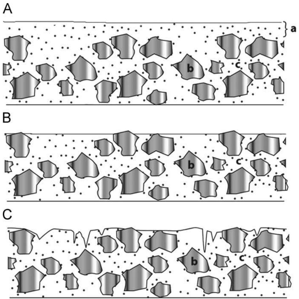 Schematic diagram illustrating surface configuration of