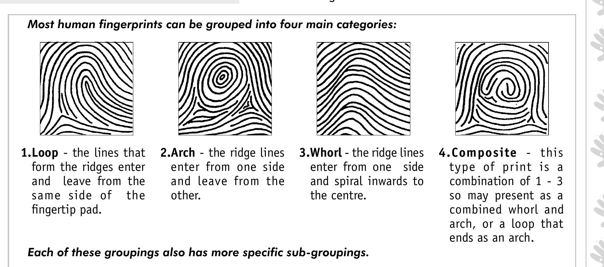 (PDF) A FORENSIC SCIENCE RESOURCE BOOK FOR TEACHERS