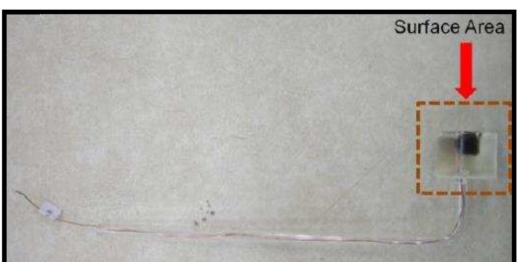 (2): photograph of working electrode (specimen) with