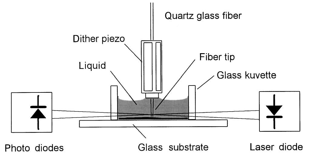 Schematical drawing of the snom setup. only the optical