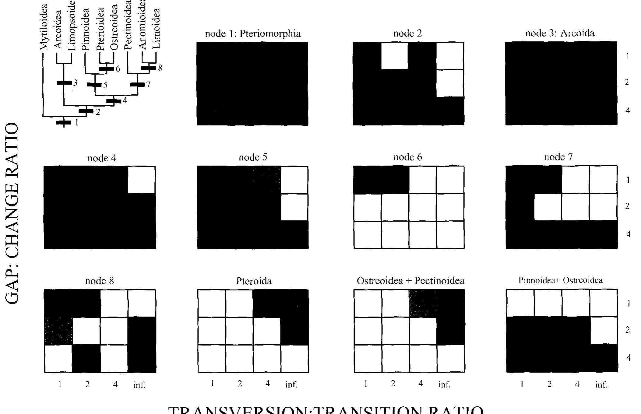 Summary tree for pteriomorph relationships and topological