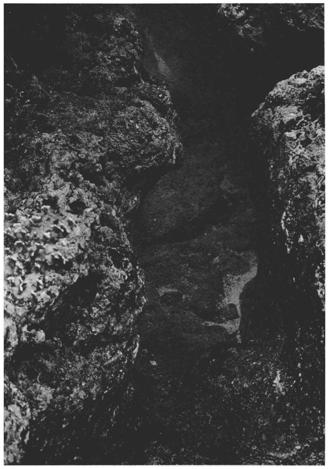Erosional channel in “spur and groove” system. the walls of
