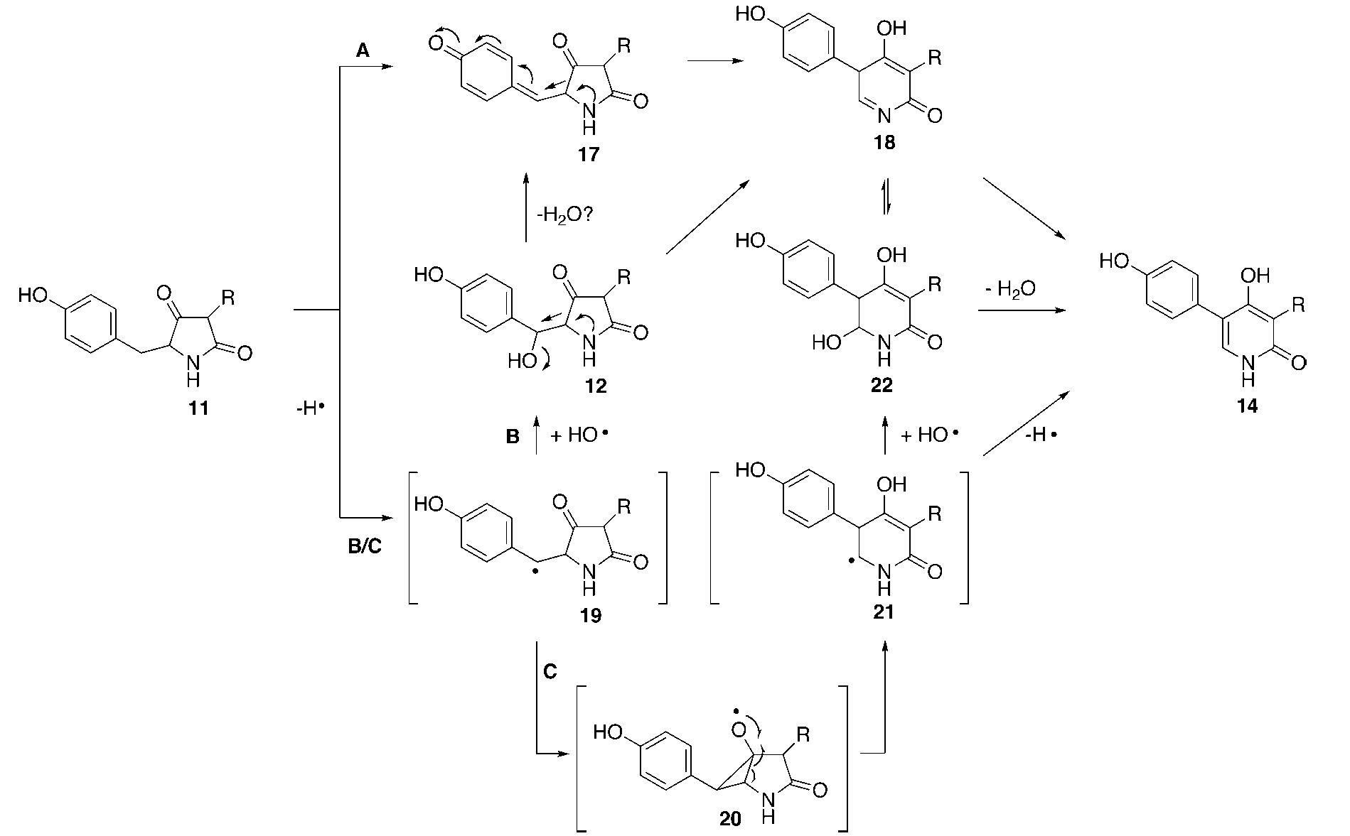 Figure 4 - from Late Stage Oxidations during the
