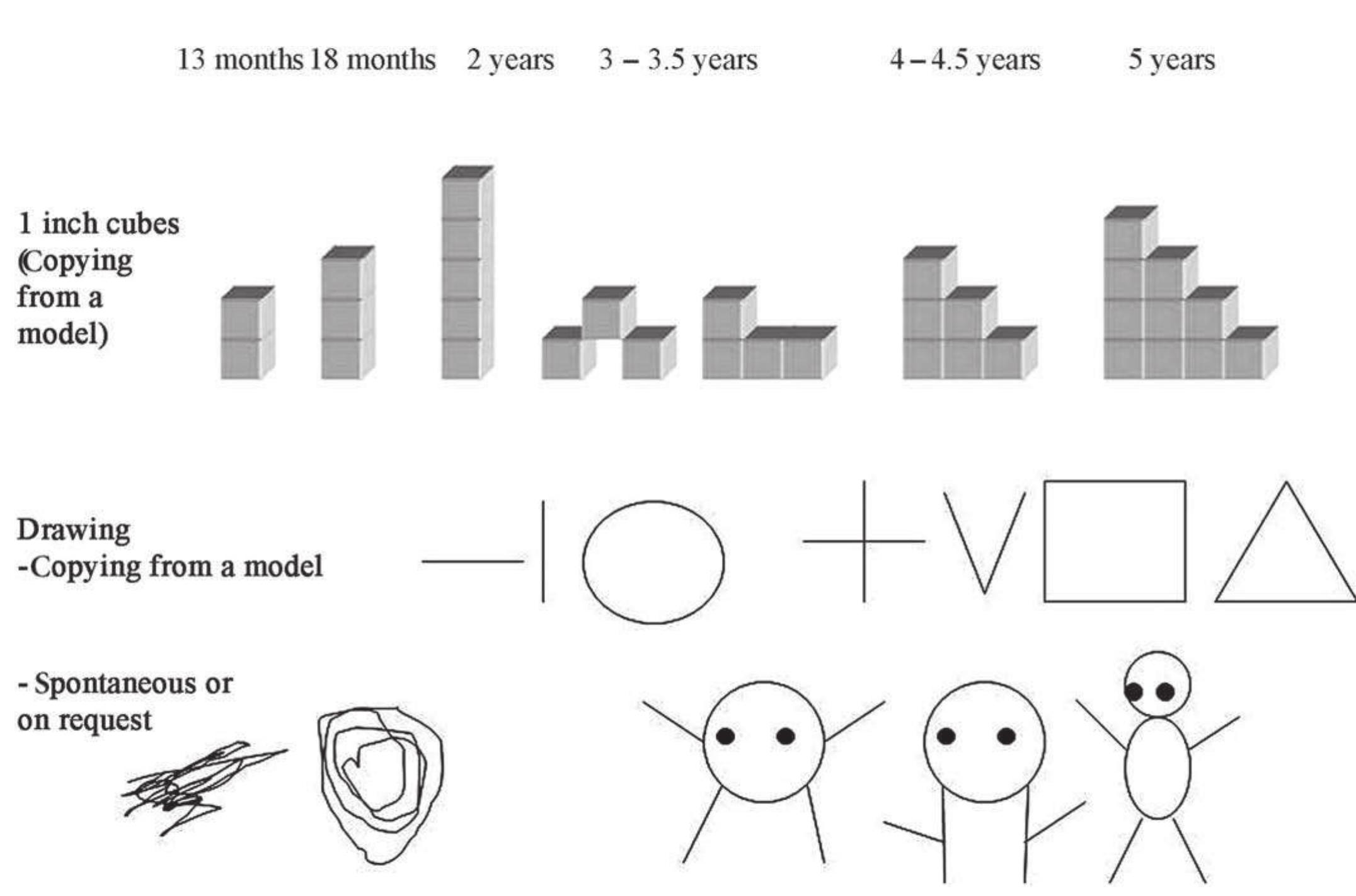 Children show a good awareness of the size of objects in