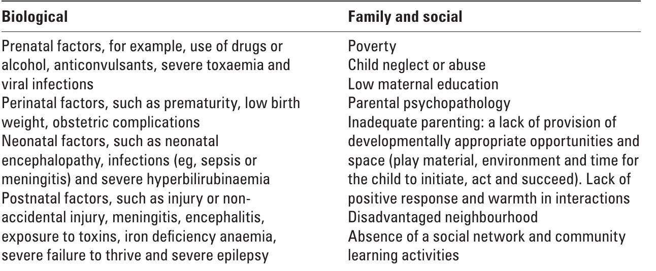 Risk factors for poor developmental outcomes'®