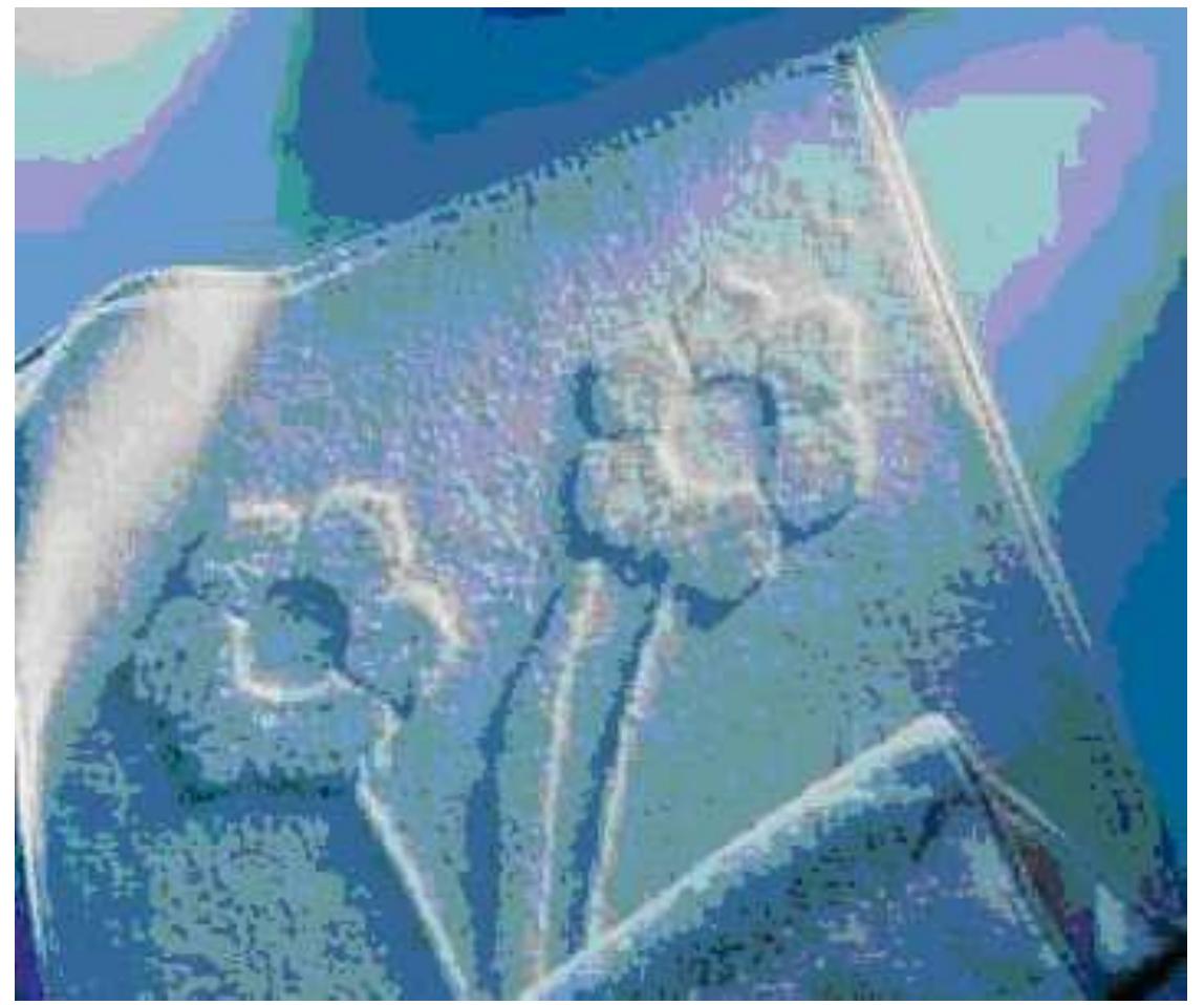 Pile yarns are woven into both loose pick groups and for one