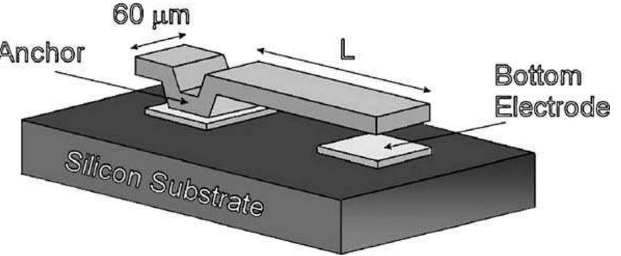 Diagram of polysilicon cantilever beam used to characterize