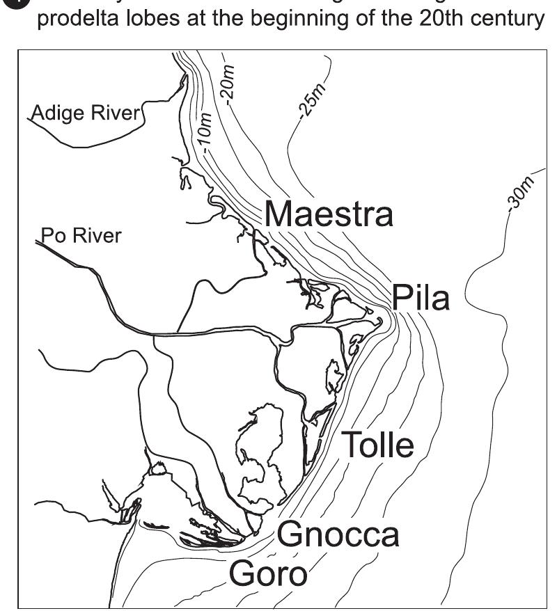 Fic. 20.—triangular diagrams with the position of po delta