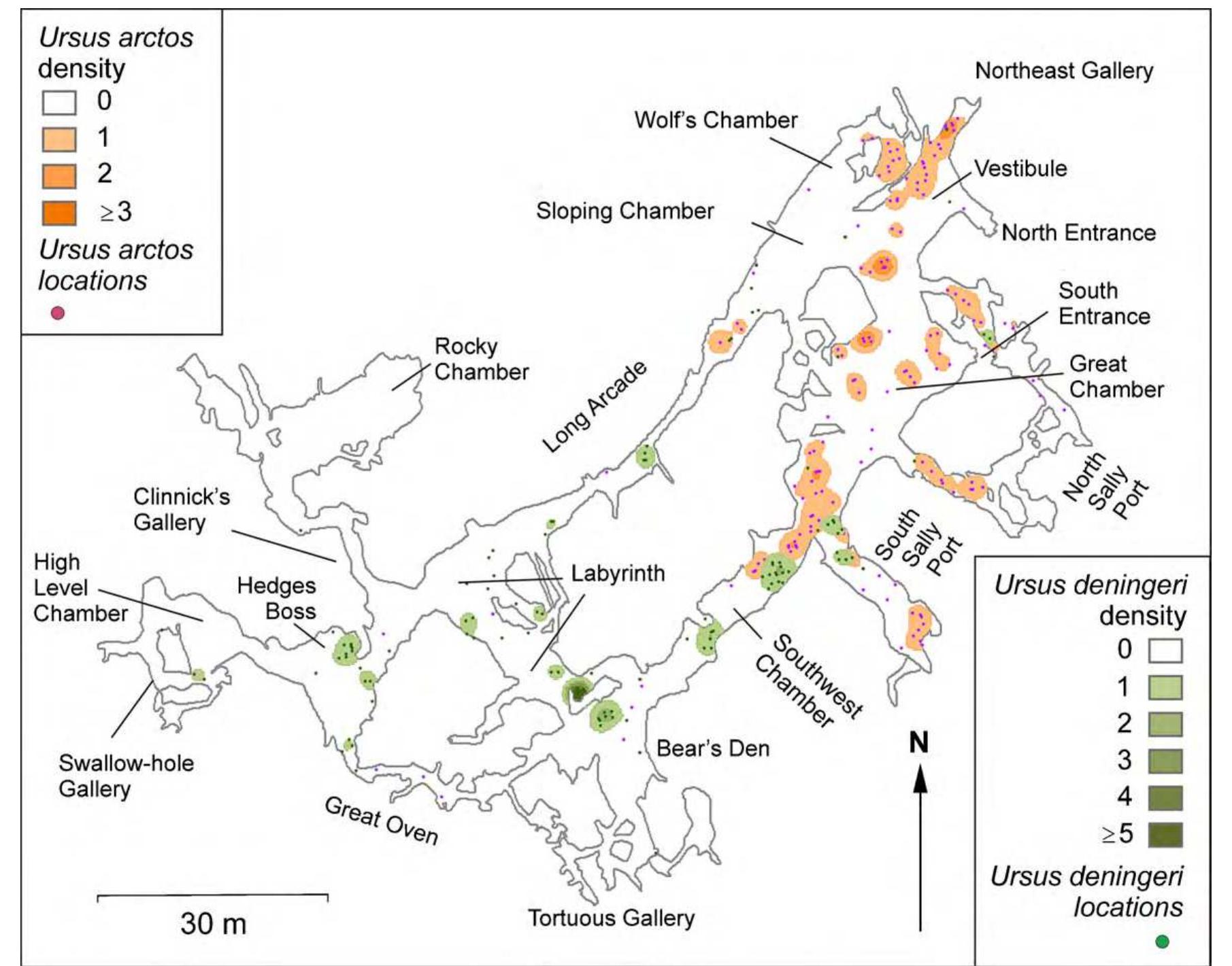 Map of ursus locations and density. in other cases, several