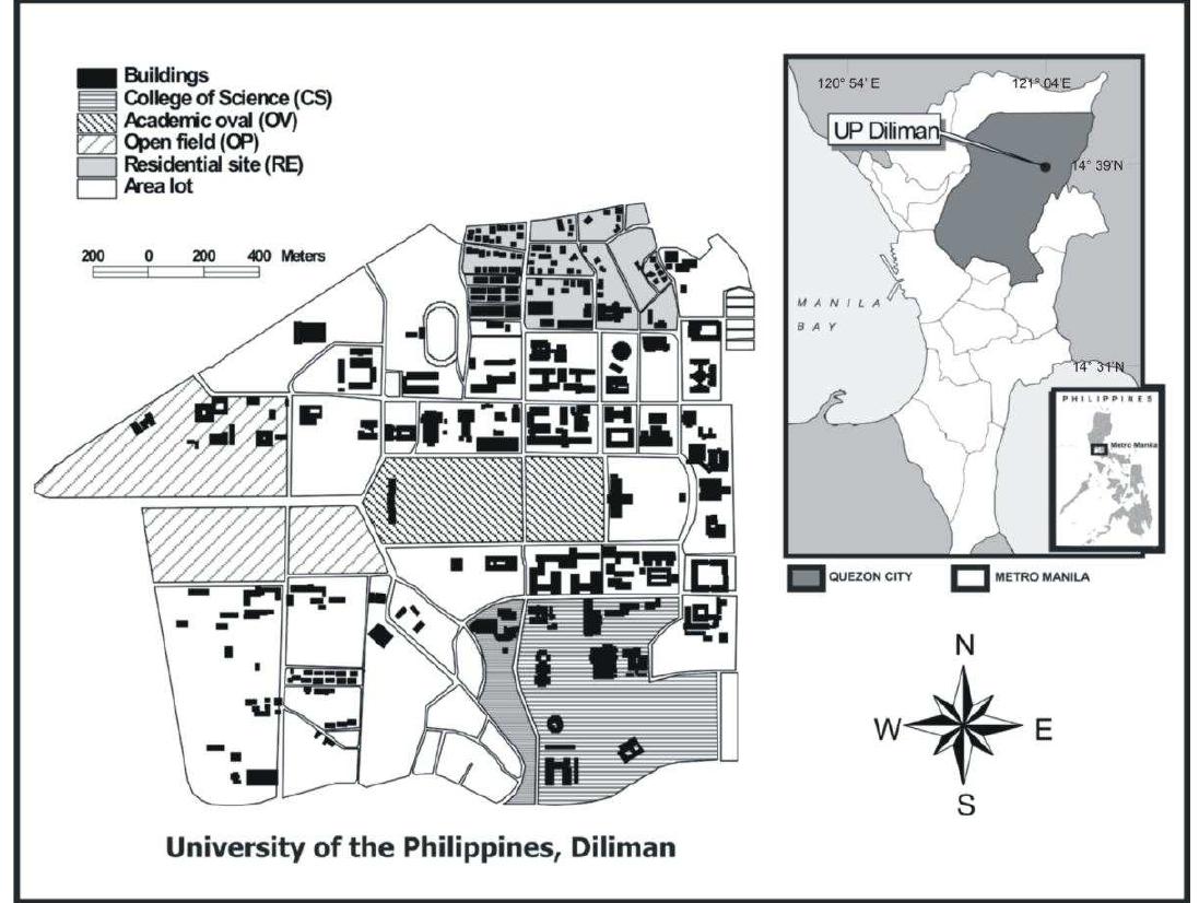 The university of the philippines (up) diliman campus in
